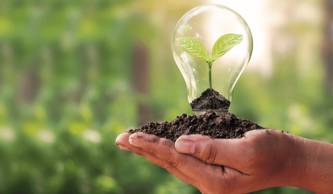 The Economics of Sustainable Construction Materials: Balancing Cost and ...